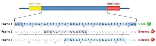 Python for Biologists